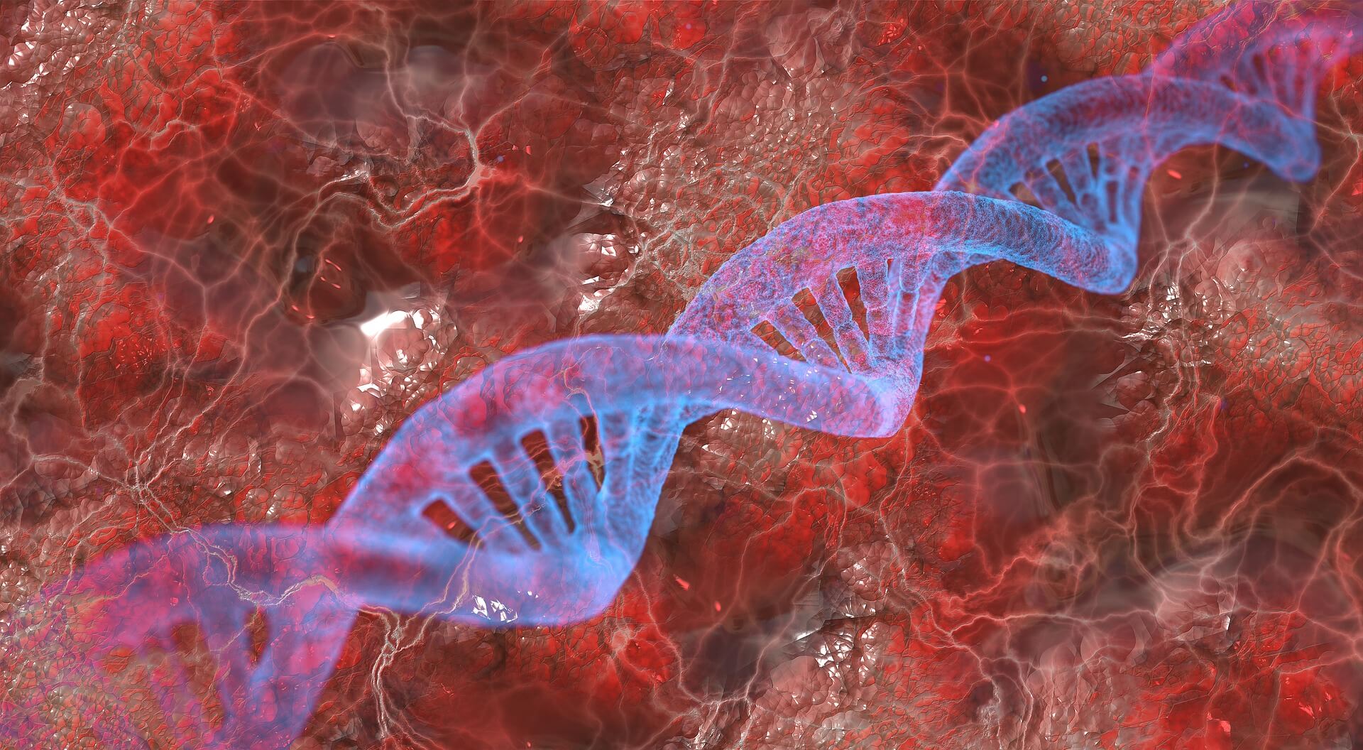 Jakafi is a preferred treatment for myelofibrosis - Israel Pharm