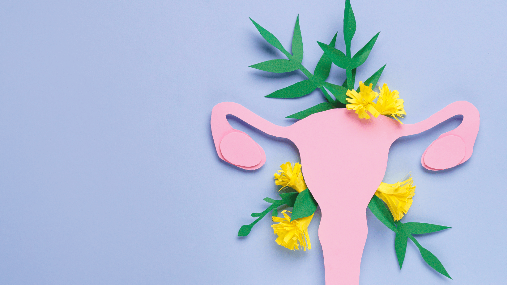 Alternatives to HRT for menopause - Israel Pharm