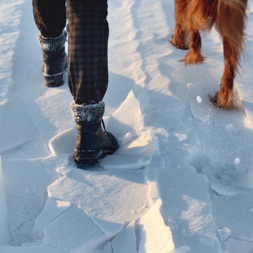 Winter wellness tips for body, mind & spirit - Israel Pharm