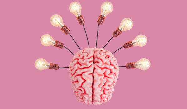 Exploring the Wonders of the Human Brain - Israel Pharm